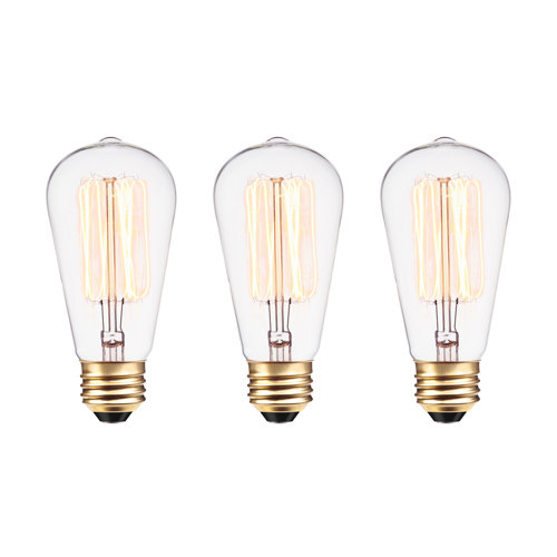Birch Lane Lyle 60 Watt ST64 E26/Medium (Standard) Dimmable Incandescent Bulb & Reviews ...